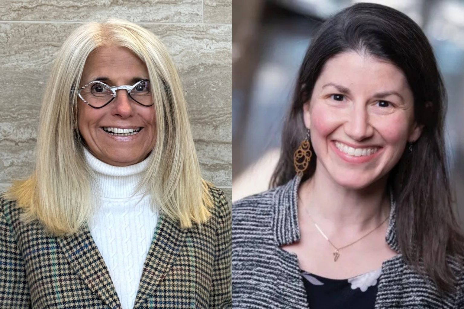 Susan Rohn retires, Vicki Haller Graff steps in to lead Yocum Institute ...